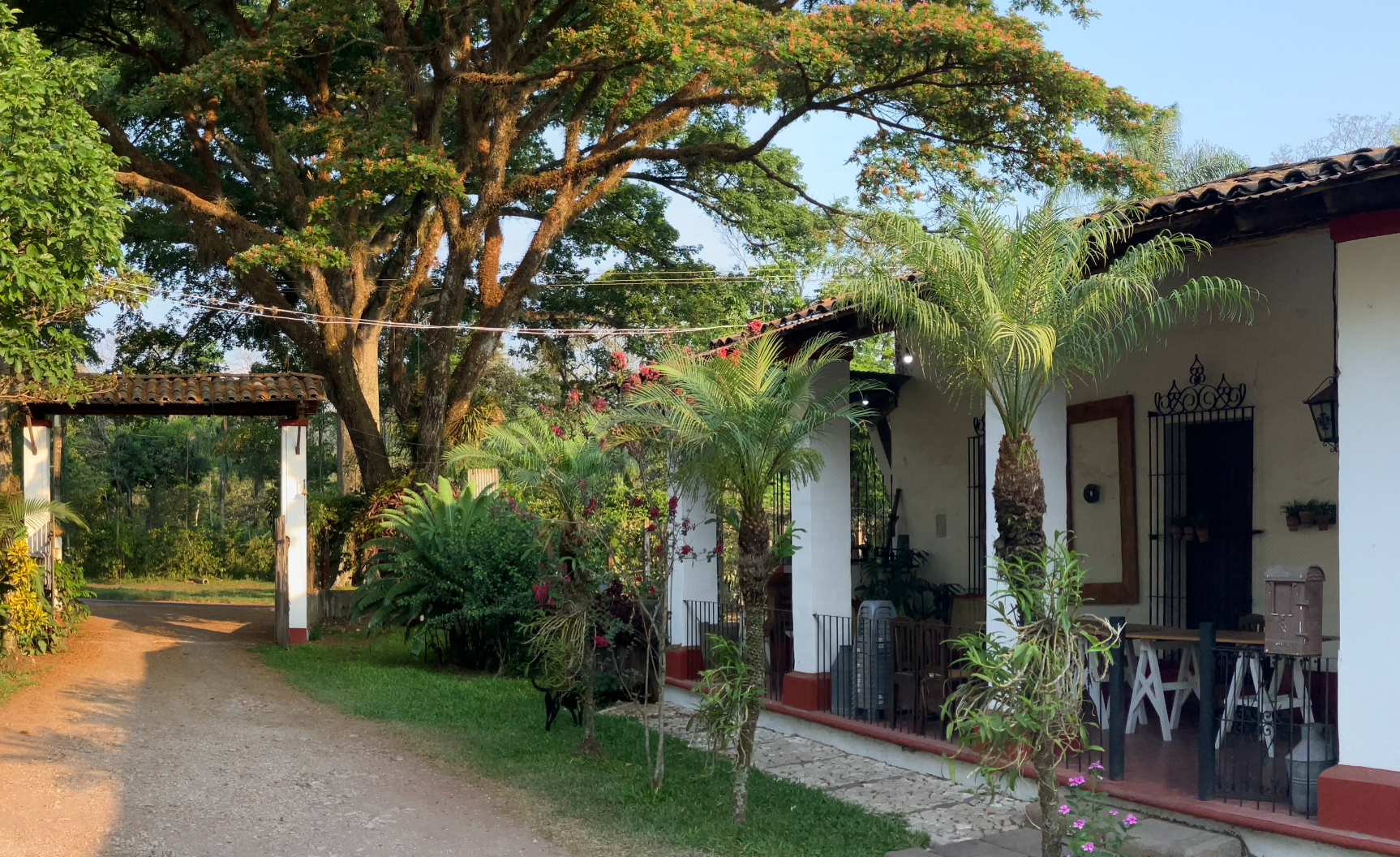 Ruta del café – Cafetalera San Felipe